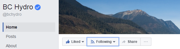 Thank you for your question